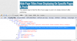 Hide Page Titles From Displaying On Specific Pages & Posts Using CSS Code